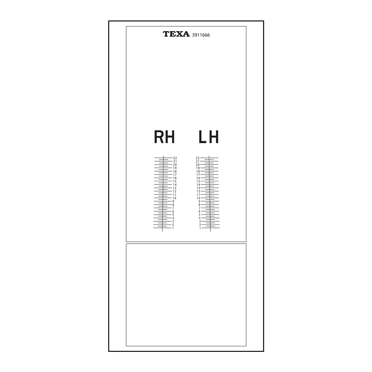 CCS2 DYNAMICS - TEXA